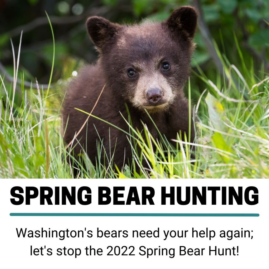 Campaigns - Wildlife First