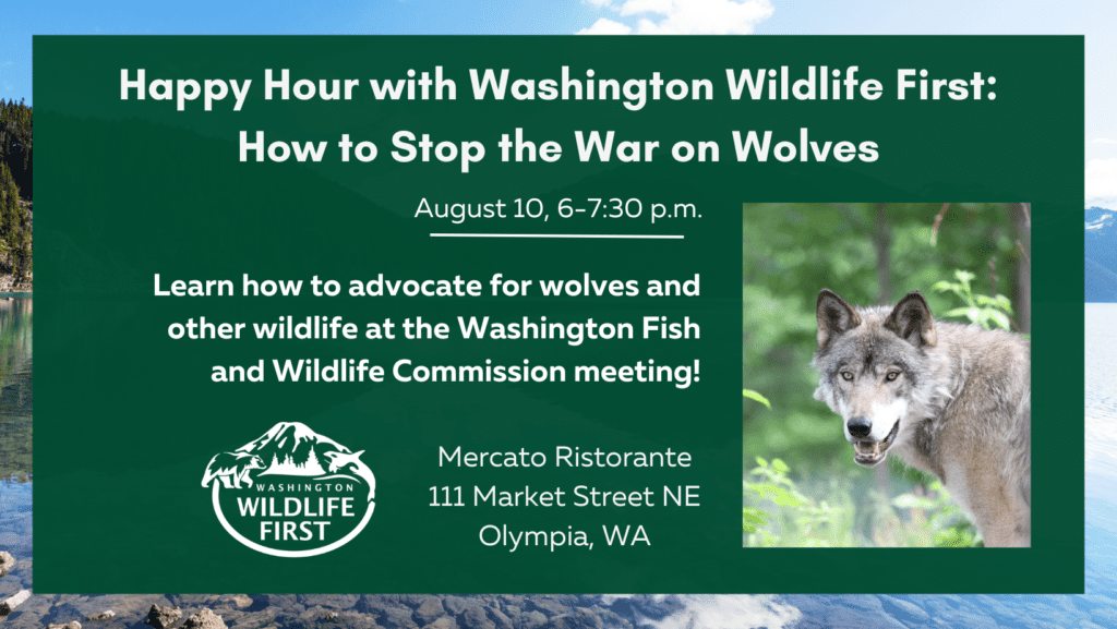 Events from August 10 – September 27, 2022 – Washington Wildlife First