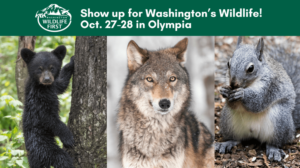Show Up For Wildlife on Oct. 27-28 in Olympia, and Join Us for Happy ...